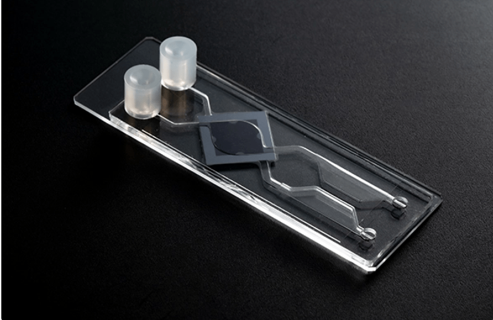 PDMS Microfluidic Chip/Device Fabrication | FUKOKU BUSSAN CO.,LTD ...