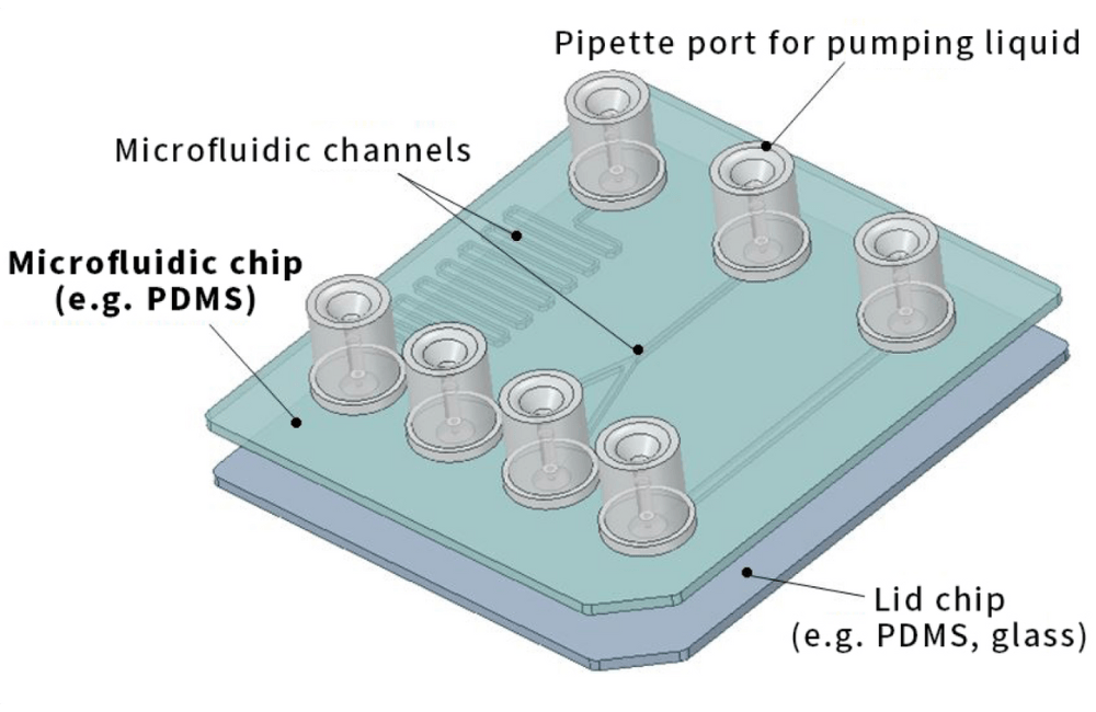 PDMS Microfluidic Chip/Device Fabrication | FUKOKU BUSSAN CO.,LTD. | Prototyping and mass ...