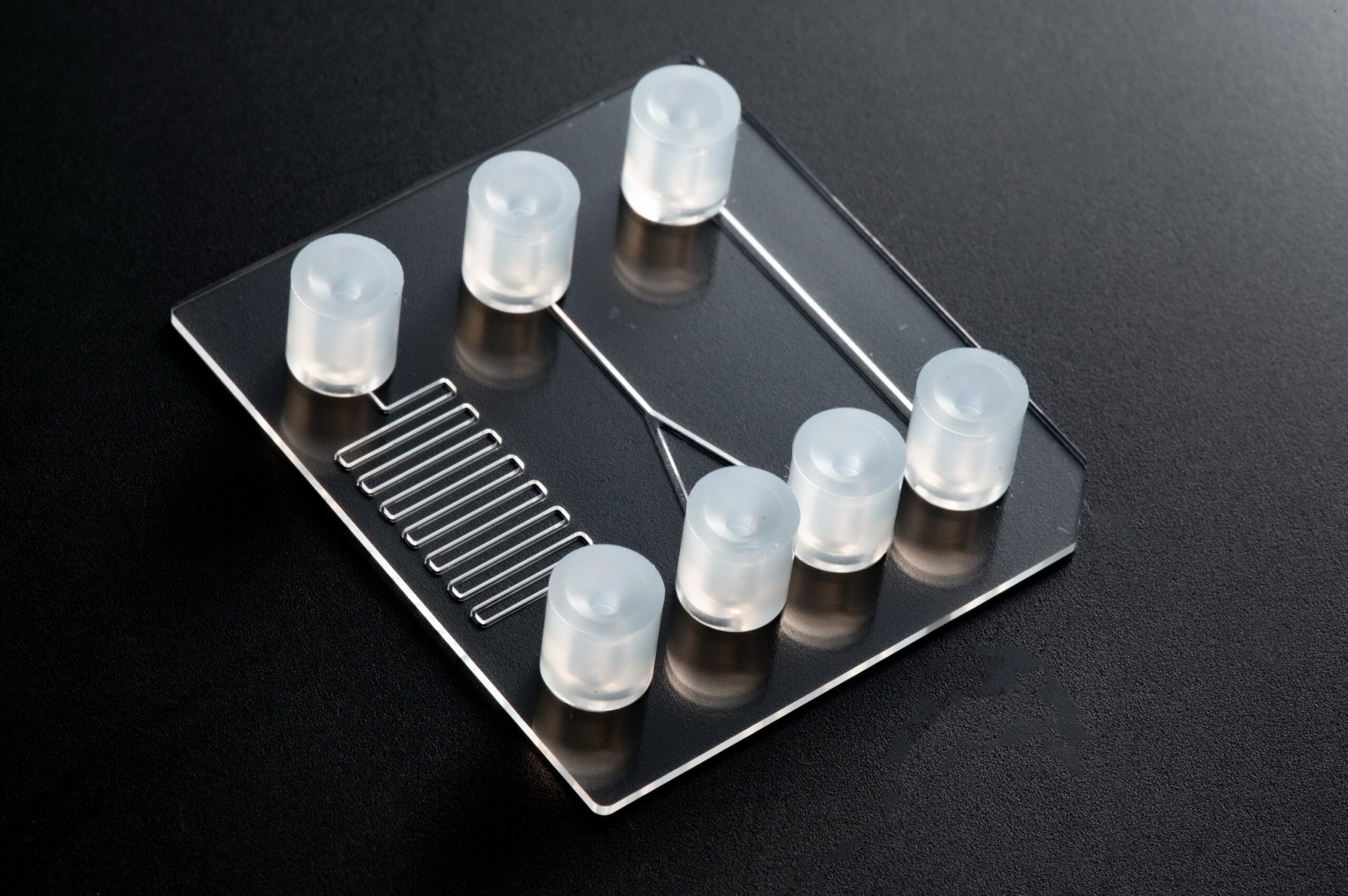 PDMS Microfluidic Chip/Device Fabrication | FUKOKU BUSSAN CO.,LTD ...